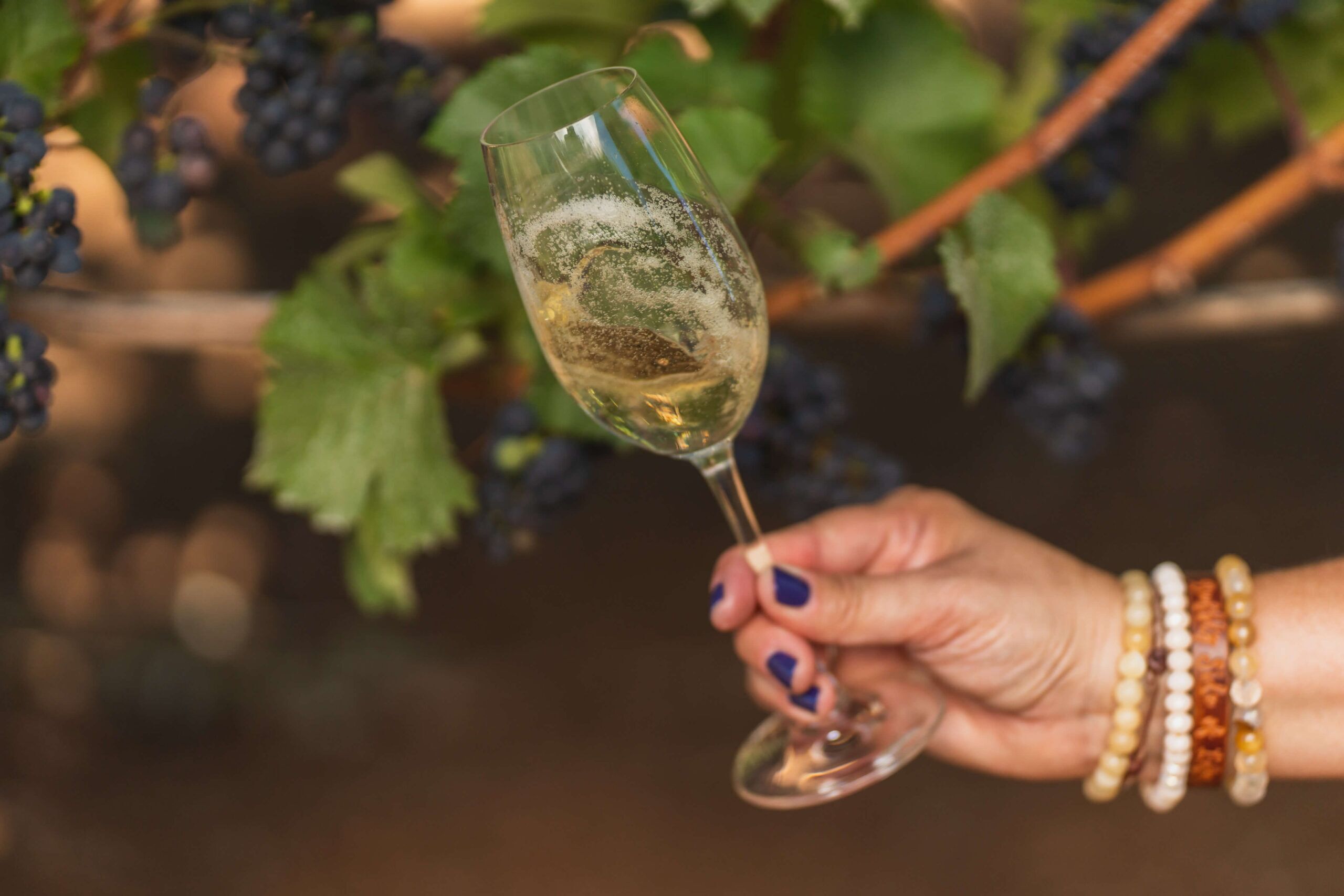 The Best Way to Live Your Bubbly Side=Celebrate Everyday Moments ...