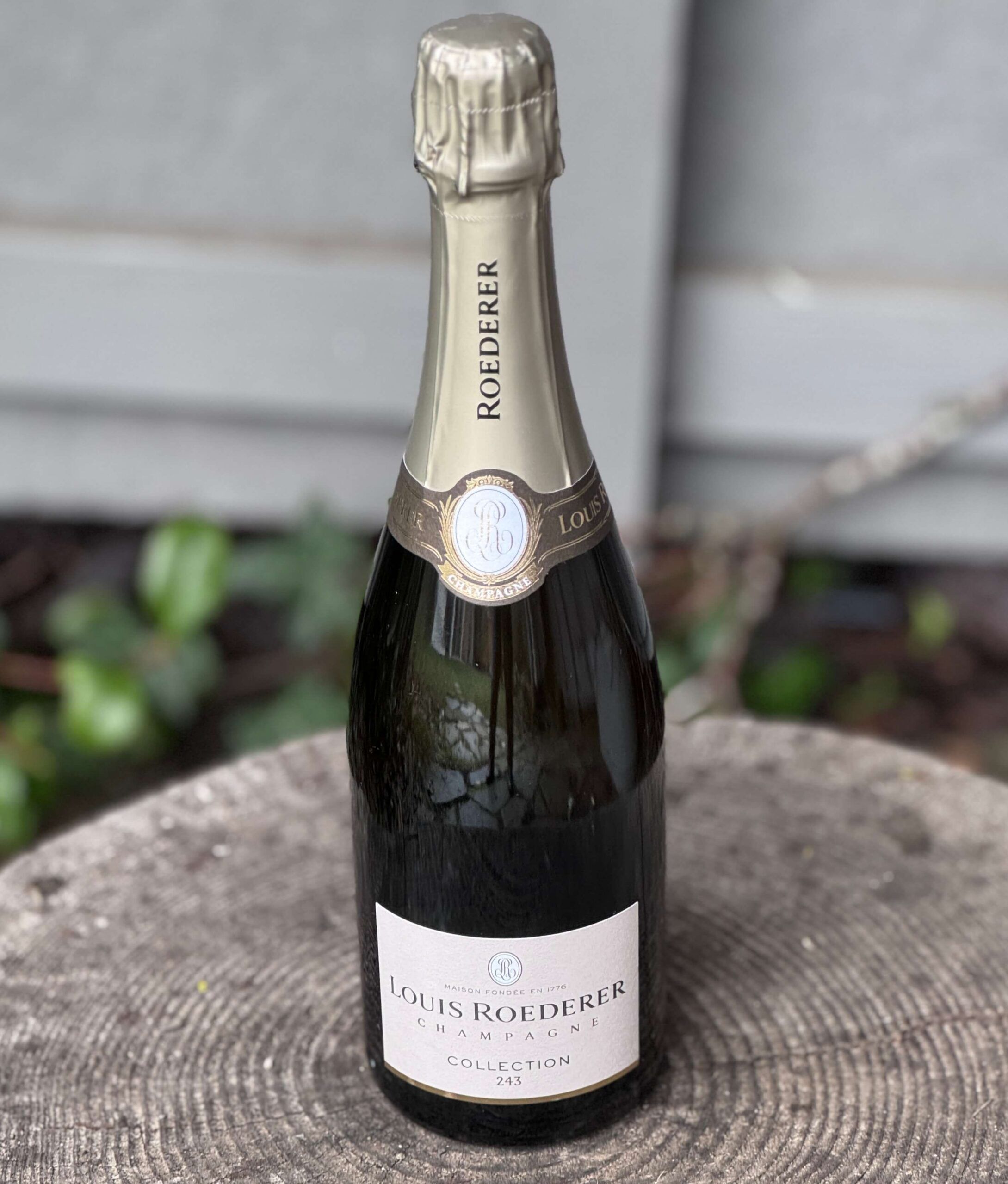The Best Champagne to Pop For Any Celebration - Bubbly Side of Life